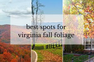 13 Places to See Gorgeous Fall Foliage in Virginia {It's Unforgettable!}