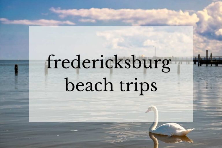 A Beach Day in Fredericksburg, Virginia? Our Top Picks for Sand and Sun ...