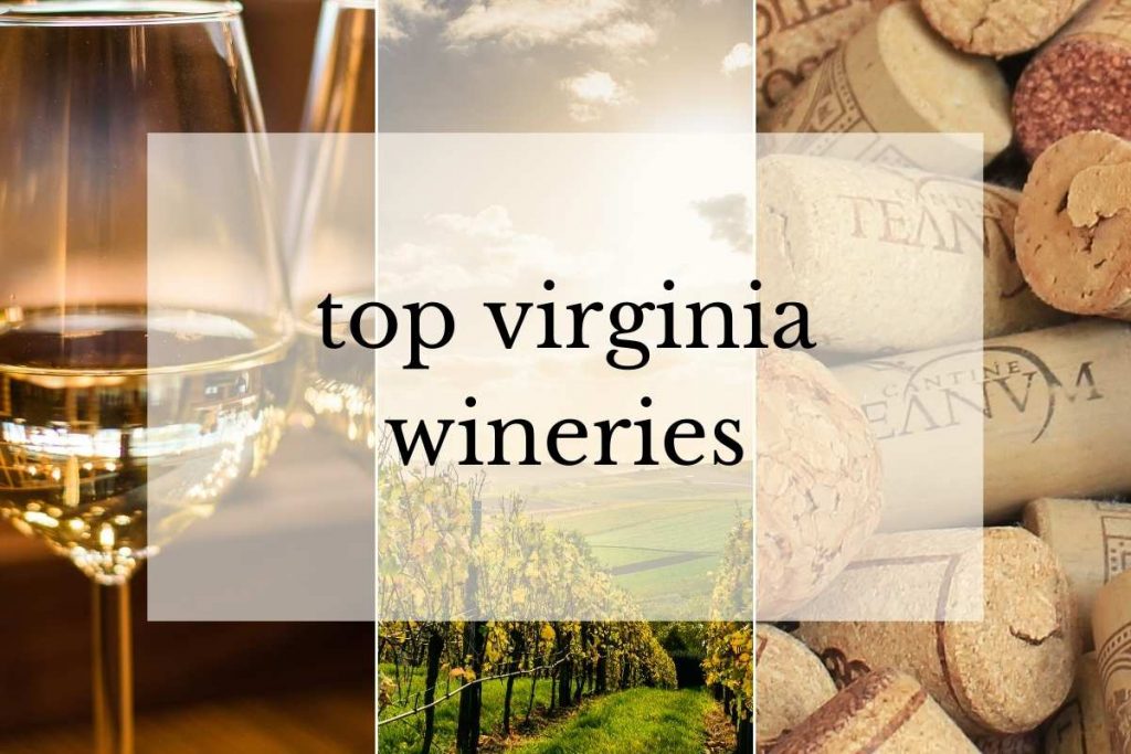 13 Amazing Wineries in Virginia (Cozy Tasting Rooms + Gorgeous Mountain ...