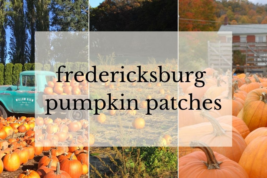 Best Fredericksburg, VA Pumpkin Patches in 2024 (Cider, Hayrides, and ...