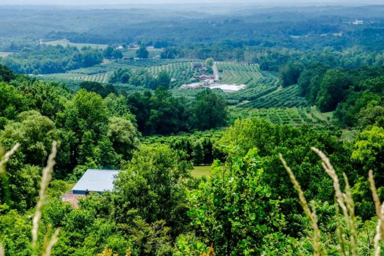 10 Absolutely Gorgeous Small Towns in Virginia Loaded with Southern Charm