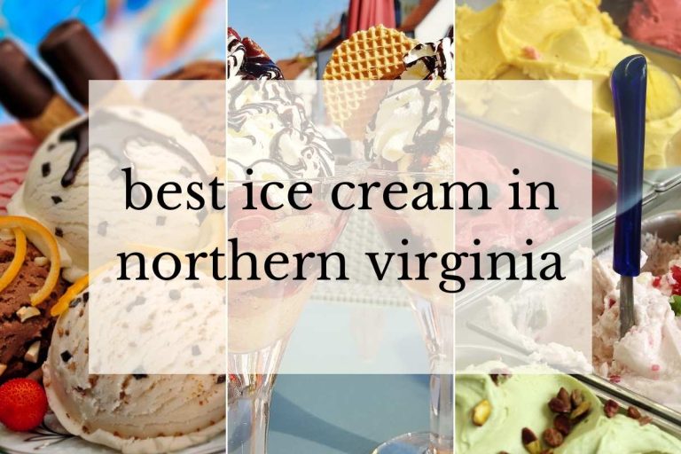 The 15 BEST Ice Cream Parlors In Northern Virginia