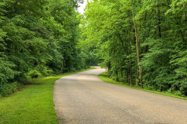 11 Scenic Drives In Virginia: The Best Scenic Byways for a Gorgeous ...