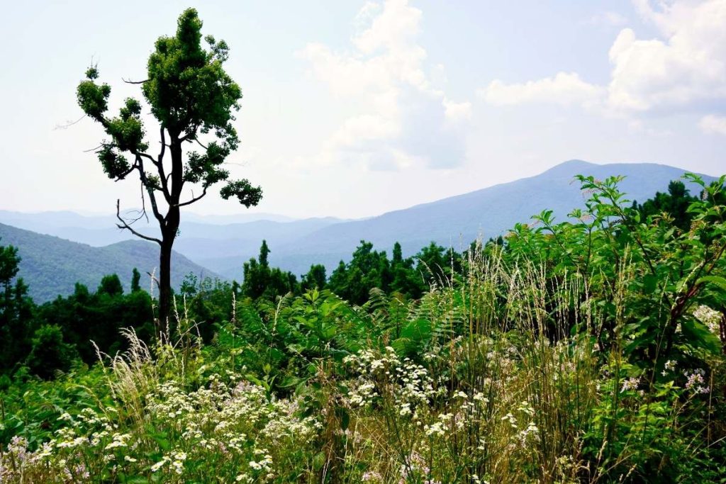 11 Scenic Drives In Virginia: The Best Scenic Byways for a Gorgeous ...
