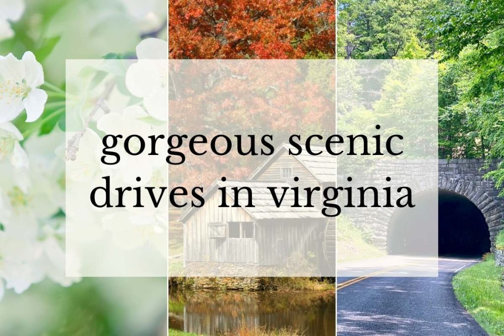 11 Scenic Drives In Virginia: The Best Scenic Byways for a Gorgeous ...