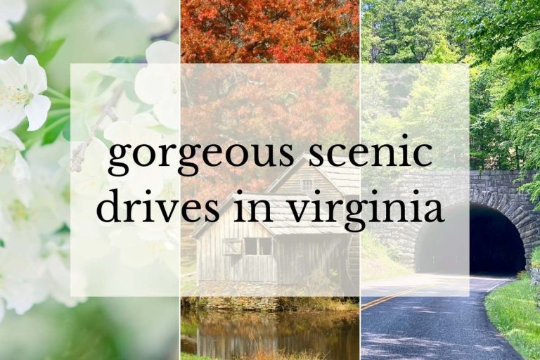 11 Scenic Drives In Virginia: The Best Scenic Byways for a Gorgeous ...
