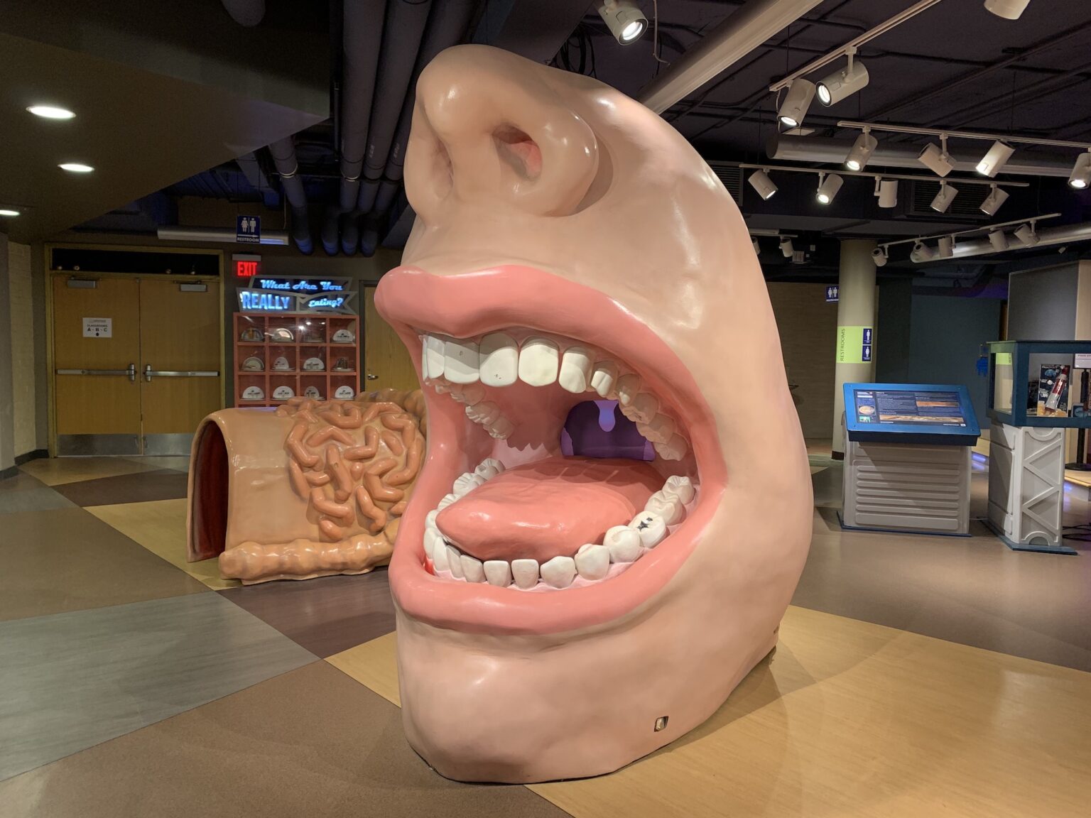 26 Fun Things to Do in Roanoke, VA - Historic Virginia Travel