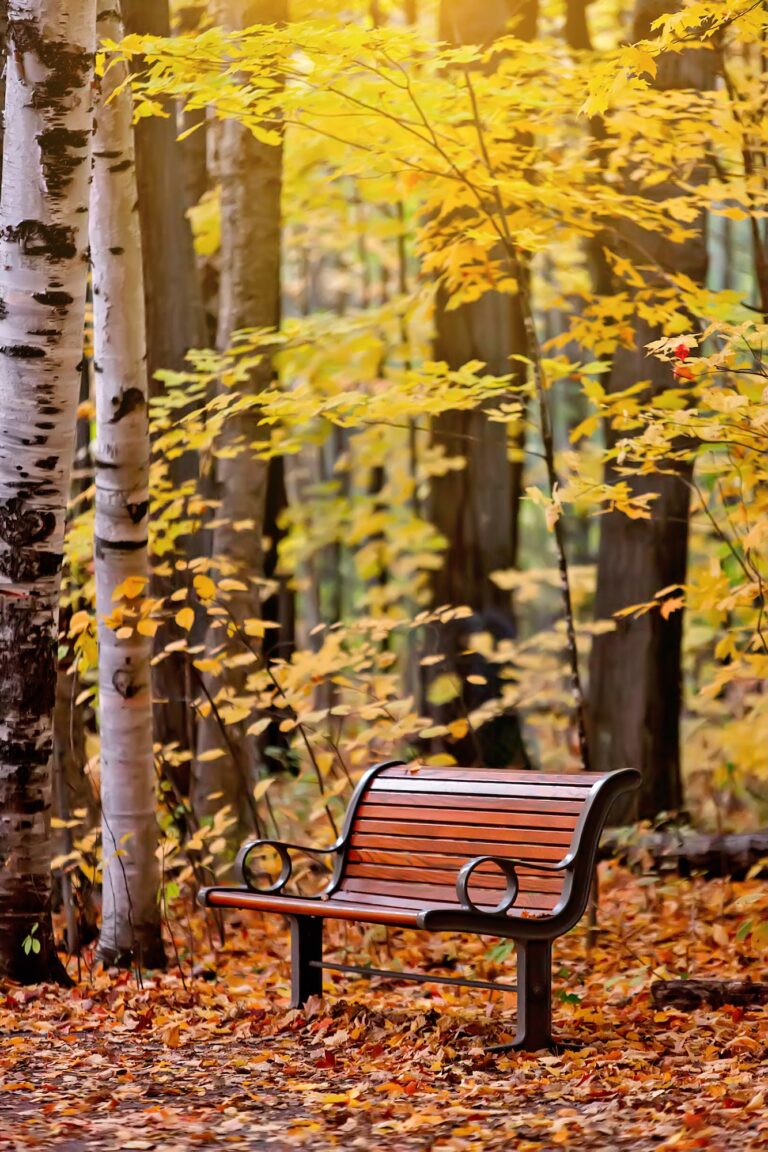 13 Places to See Gorgeous Fall Foliage in Virginia {It's Unforgettable!}